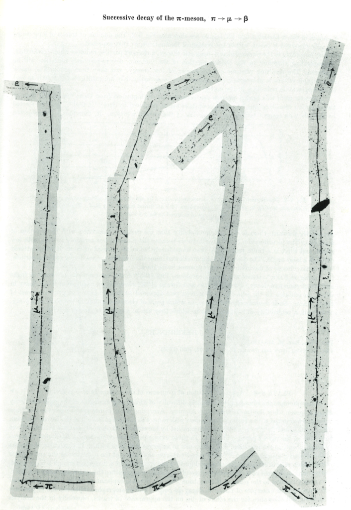 Cloudylabs » Interactions of muons