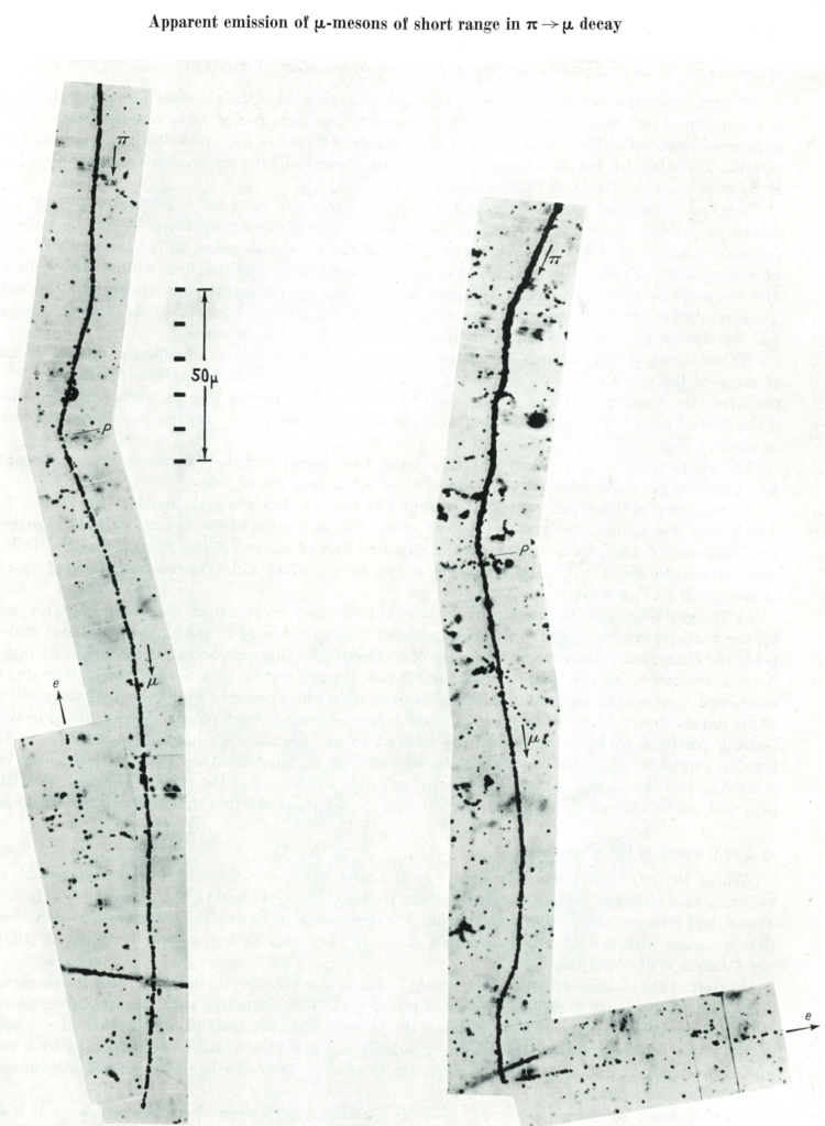 Cloudylabs » Interactions of muons